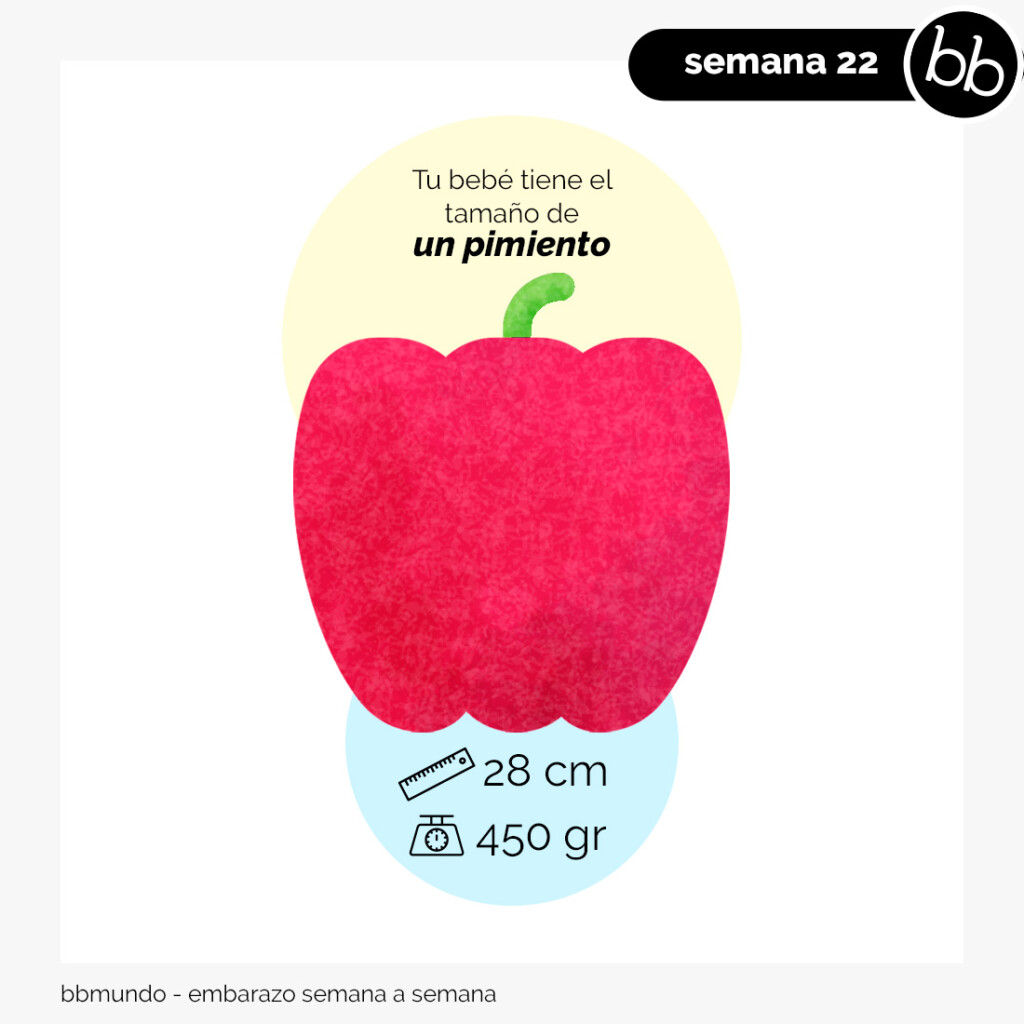 La semana 22 del embarazo