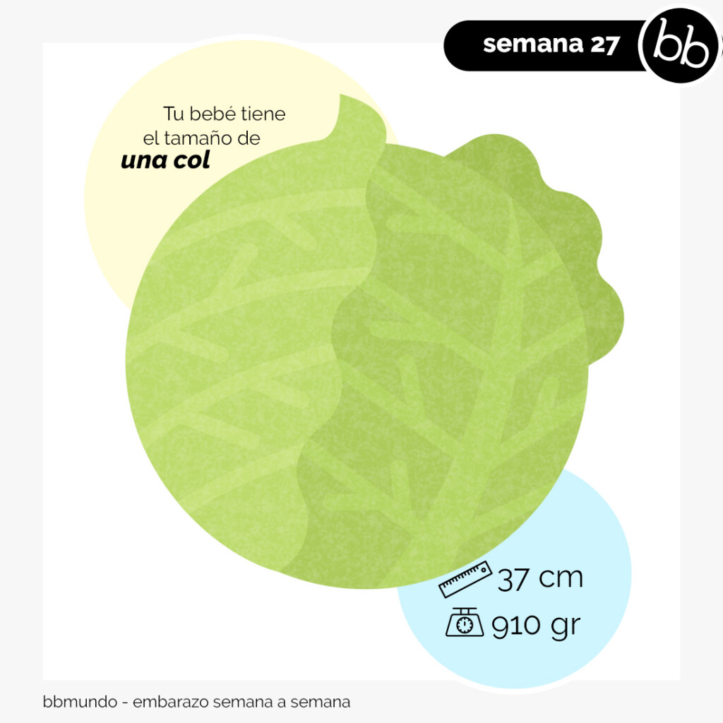 La semana 27 del embarazo
