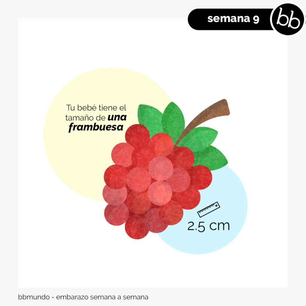 La semana 9 del embarazo