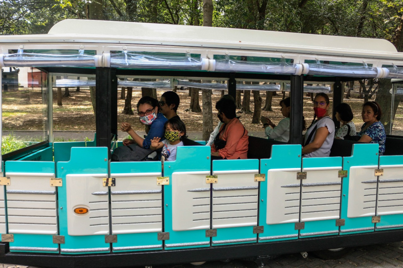 ¡Por fin regresó!: Lleva a tus hijos al trenecito del Bosque de Chapultepec