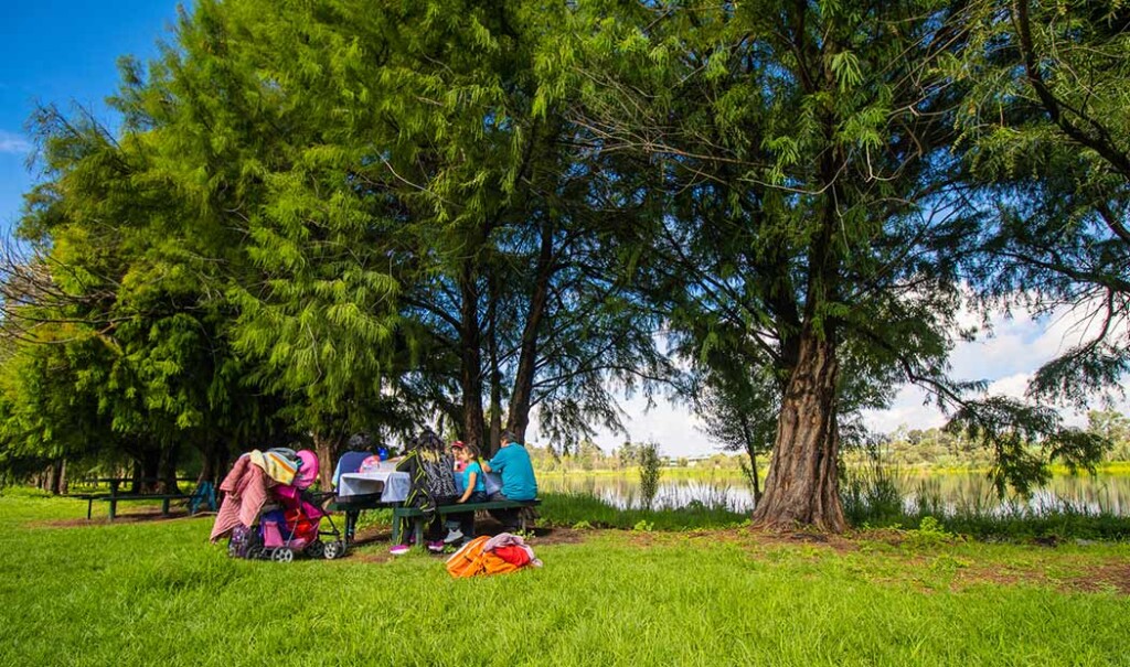 Lánzate a conocer el Parque Ecológico de Xochimilco